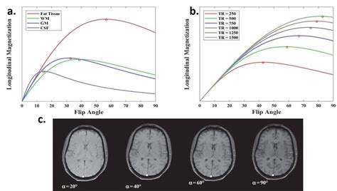 9 A Shows The Relationship Between The Flip Angle And Different Download Scientific Diagram
