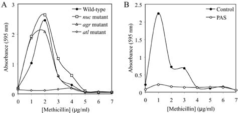Biofilm Formation By S Aureus Strain Lac In Sub Mics Of Methicillin