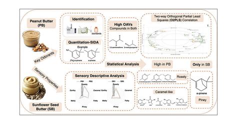 Comparison Of Key Odorants And Sensory Properties Of Peanut Butter And… The British Society Of