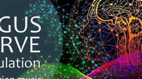 Vagus Nerve Stimulation Meditation Music Mix Parasympatic Nerve