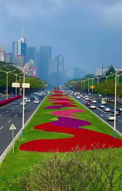 Lisa Liufan On Linkedin Shenzhen China