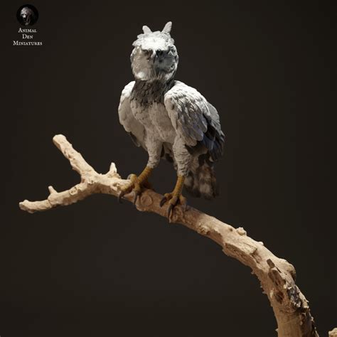 Harpy Eagle 75mm 1 24 Scale Dark Rose Miniatures