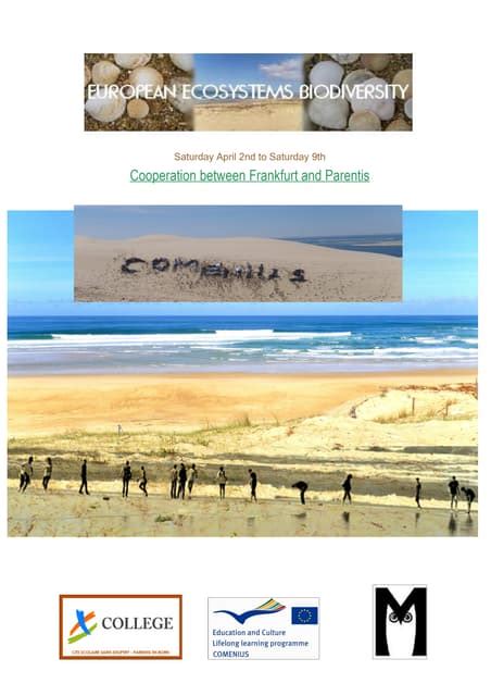 Scientific Report Pdf