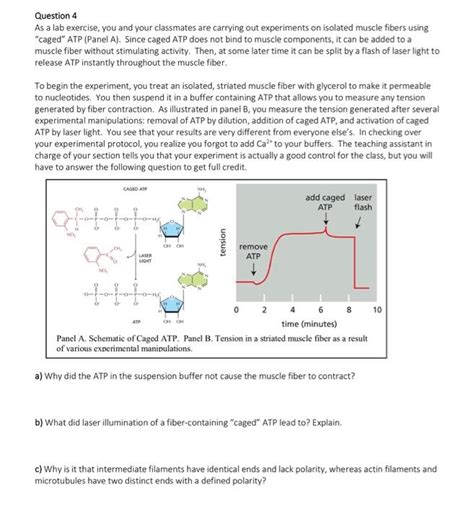 Solved Question As A Lab Exercise You And Your Classmates Chegg