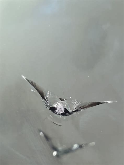 자동차 전면유리 돌빵 깨짐 금번짐 차유리 유리복원 유리용접 양주 의정부 남양주 그랜져택시 차앞유리 스톤칩 복원 네이버 블로그