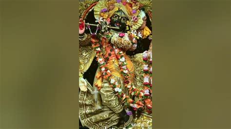Radheshyam🙏🙏🌼 Krishna Krishnakanhaiya Radheshyam Radheradhe