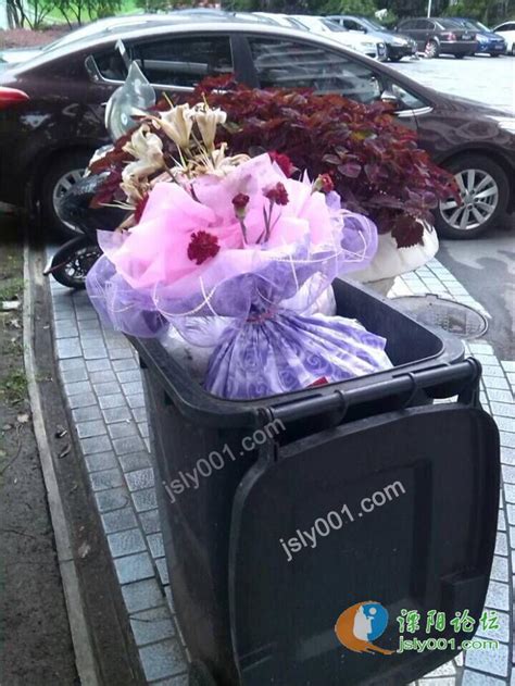 丢花的图片丢花花的图片大山谷图库