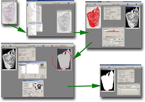 measuring sample area — media cybernetics image analysis forums