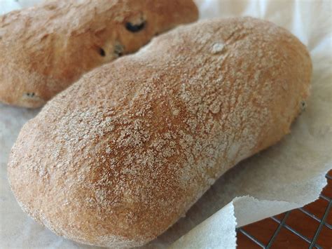 생애 첫 치아바타