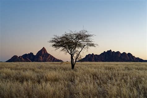 Java 알고리즘 문제 53 숫자 찾기 Devleekangho