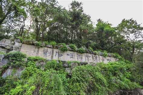 2024山谷流泉摩崖石刻游玩攻略 用艺术长廊来形容山谷流泉公 去哪儿攻略