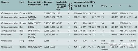 乙肝病毒基因组的进化和临床影响 知乎