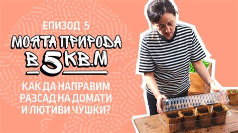 еп 5 Чери доматите обичат цветята Сериал Моята природа в 5 кв м Градско градинарство