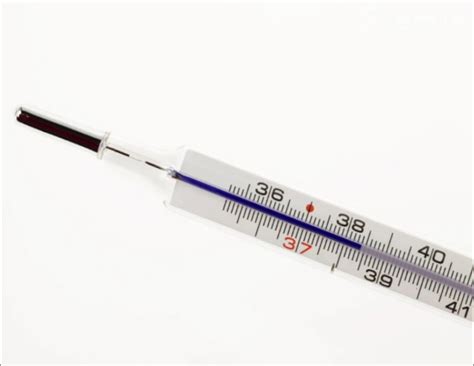 拓展阅读 液体的热胀冷缩 五年级下 课程 指尖探索 科学