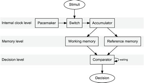 The General Architecture Of The Scalar Timing Model Stm 8 Download Scientific Diagram