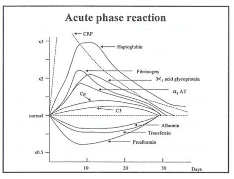 Acute Phase Response Flashcards Quizlet
