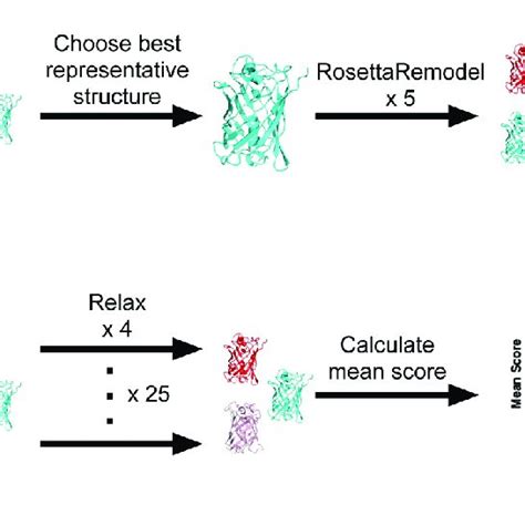 Visualization Of The Computational Modeling Pipeline Colors Represent