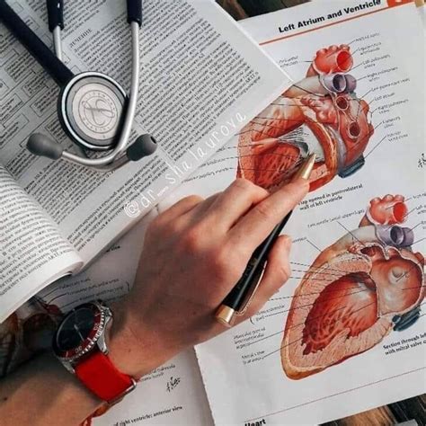 အဂ်လိပ်ဆေး