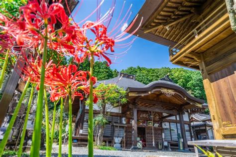 秩父札所 第10番萬松山大慈寺 フォトさいたま