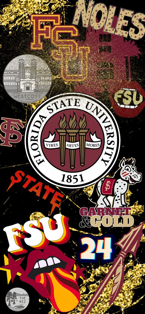 Florida State Wallpapers 4k Hd Backgrounds On Wallpaperbat