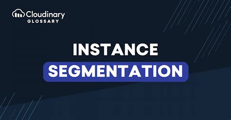 Instance Segmentation Cloudinary
