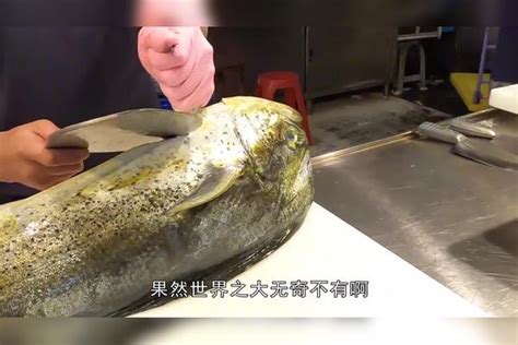 这种鬼头刀鱼你见过吗美丽的皮囊不如丰腴的肉质口感一言难尽 皮囊 肉质 口感