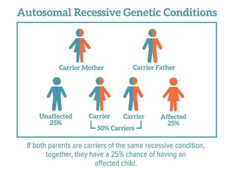 Preconception Genetic Testing Carrier Screening Austin Fertility