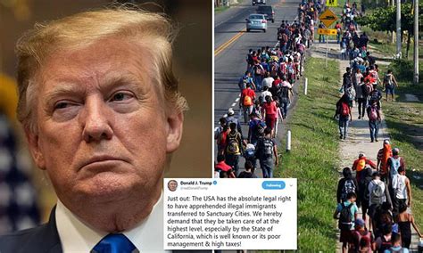 Trump Says Us Has Absolute Legal Right To Apprehend Illegal