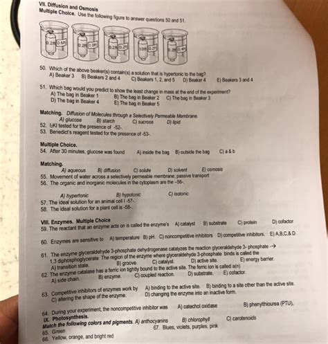 Solved Vii Diffusion And Osmosis Multiple Choice Use The