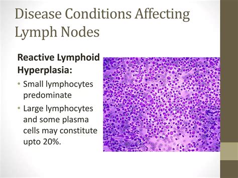 Lymph Node Impression Smear Cytology Pptx