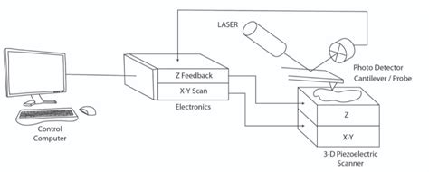 Atomic Force Microscopy Learning Center How AFM Works