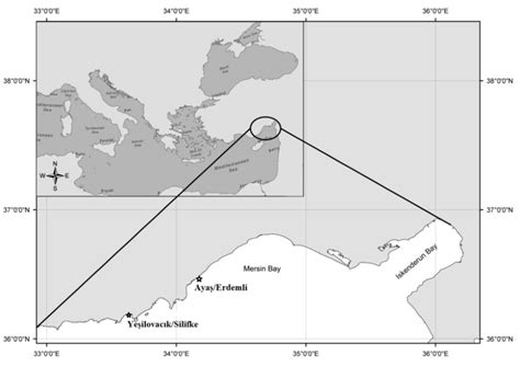 Locations Of The Occurrences Of Juvenile Specimens Of Lobotes