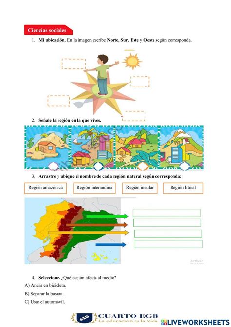 Eva Diagnostica Ccnn Eess Interactive Worksheet Live Worksheets