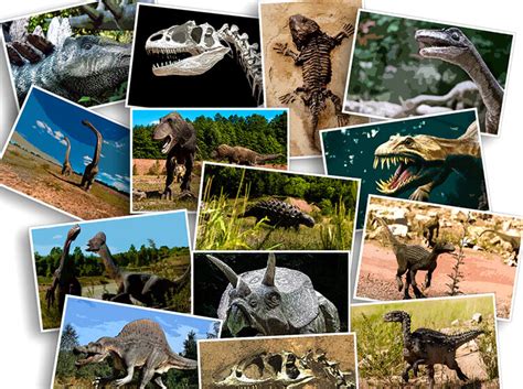 News What Are The Top 5 Unsolved Mysteries About Dinosaurs
