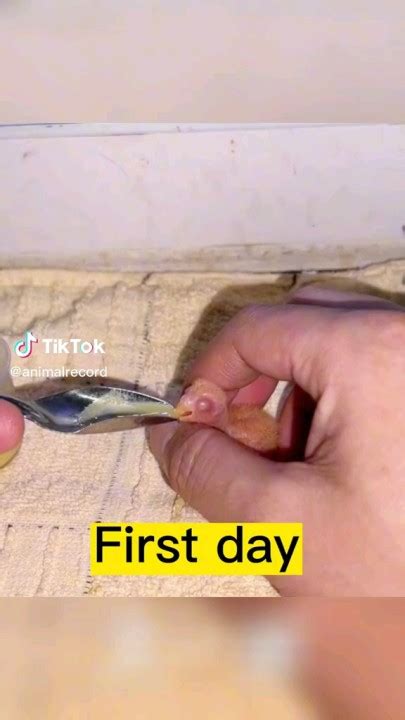 yougesh kumar chauhan leon d souza posted on linkedin