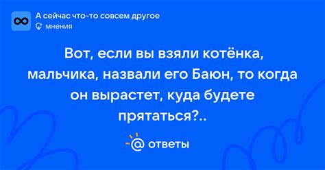 Вот если вы взяли котёнка мальчика назвали его Баюн то когда он вырастет куда будете