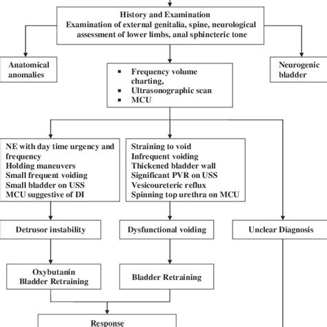 Algorithm To Manage A Case Of Voiding Disorder Download Scientific