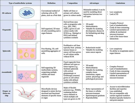 Frontiers 3d Multicellular Systems In Disease Modelling From Organoids To Organ On Chip