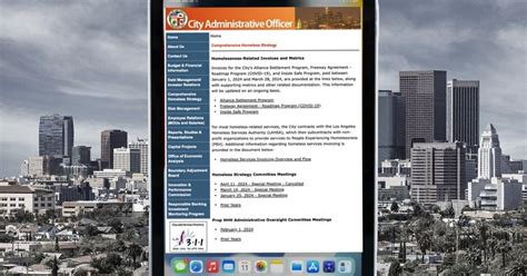 Column What Does The Citys New Homeless Program Performance Website