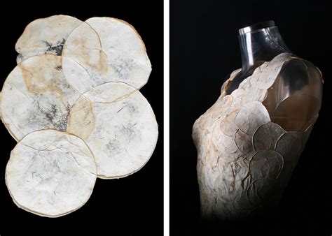 Aniela Hoitink Mycelium Fiona Lynch