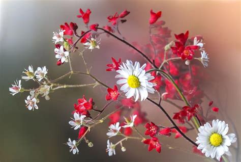 Excel Vba基础（12）：vba中对象、集合、属性和方法 知乎