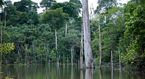 Mete Naturalistiche Angola Africaturismo