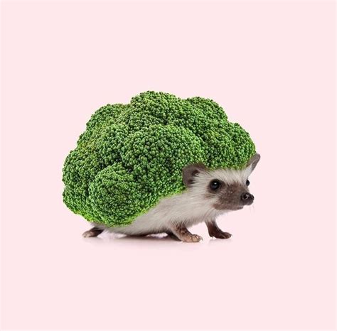 Dora C Posted On Linkedin