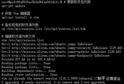MiniCPM V大模型部署教程 知乎