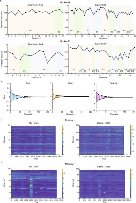 Real Time Decoding Performance Reliability Decoder Weights And Mu
