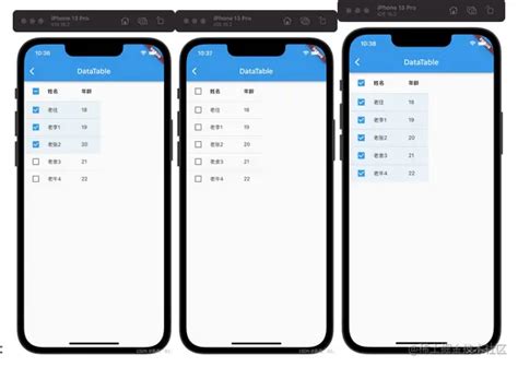 10、 flutter widgets 之 datatable表格数据datatable 这个名字在大前端开发一定不陌 掘金