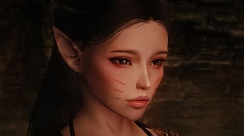 Skyrim Nexus Makeup Mod