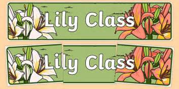 Lily Themed Classroom Display Banner Teacher Made Twinkl