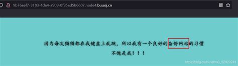 【ctf】buuctf Web（三）——php序列化与反序列化buuctf 反序列化 Csdn博客