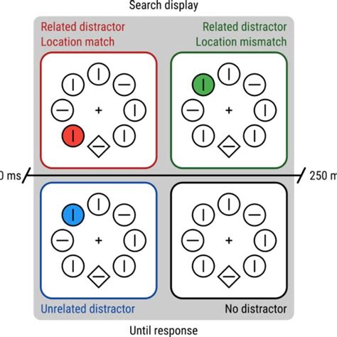 A Schematic Example Trial Of Experiment 1 This Example Demonstrates A